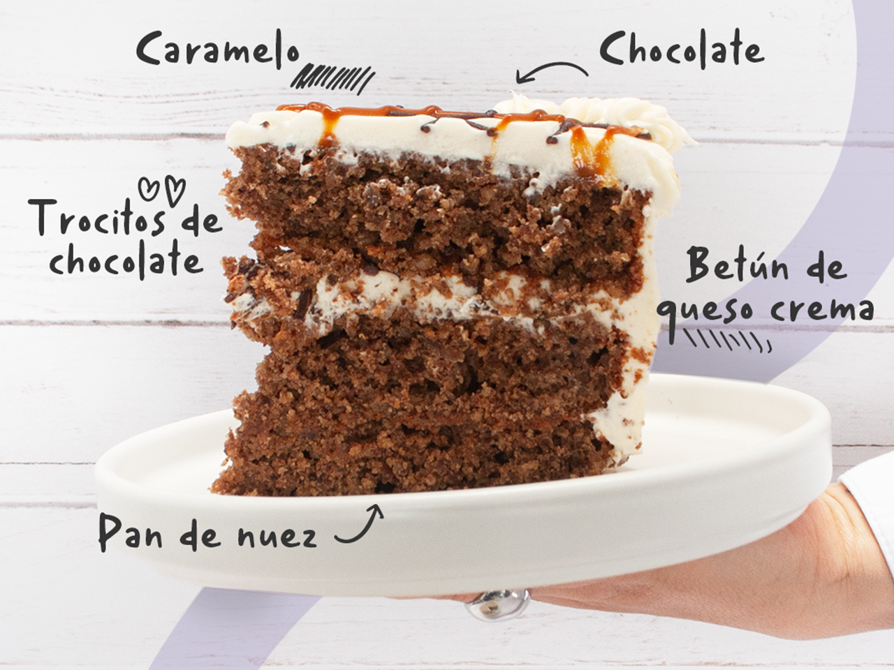 Pastel Tortuga – Pastelerías Marisa